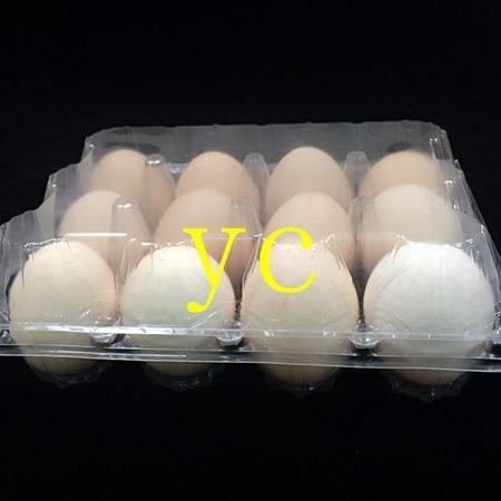 Quality 12 Slot Transparent PET Egg Tray With Multi Buckle For Secure Egg Storage Transport for sale