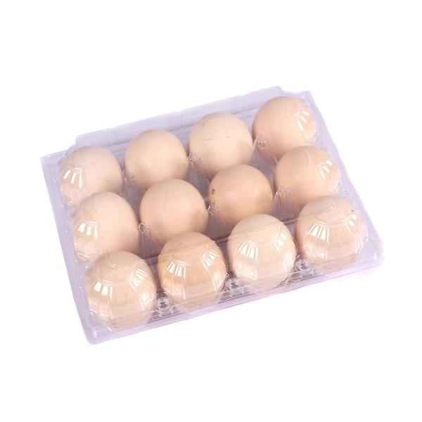 Quality 9 Slot Transparent Egg Packaging Tray With Custom Logo Printing For Free Range Egg Packaging for sale
