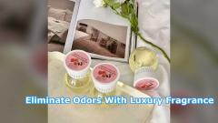 French Garden Reed Diffuser Luxury Home Odor Eliminator