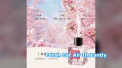 Premium Aluminum Car Air Freshener Vent Clip