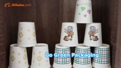 Eco Friendly Packaging Solutions