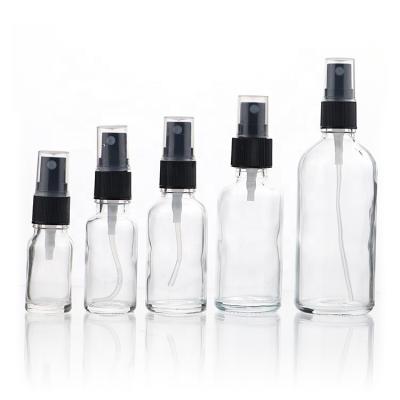 China Personal Care Label Printing 5ml 10ml 15ml 20ml 30ml 50ml 100ml Clear Atomizer Spray Glass Bottle Disinfectant Spray Bottle for sale