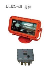 China Marine Ex-proof floodlight for sale
