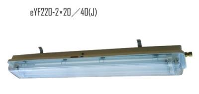 China Marine Ex-proof （emergency) fluorescent  light for sale