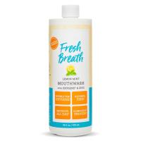 Quality Premium Lemon Mint Fresh Breath Mouthwash Non Irritating Mouthwash 16 Oz OEM for sale