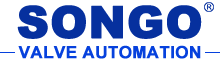 Shenzhen Songo Automation Co., Ltd.