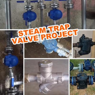 China NPT Threaded Thermostatic Steam Trap Valve Lever Float Ball Valve GGG40 PN16 for sale