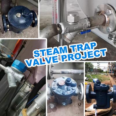 China Bucket Steam Trap Valve CS11H 25bar SS304 Carbon Steel NPT Threaded With Filtration Check for sale