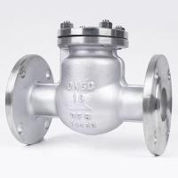 Quality SS304 Cryogenic Swing Check Valve 150LB 300LB CF8M For LN2 LO2 for sale