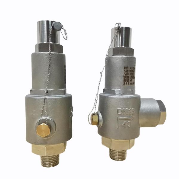Quality SS304 Cryogenic Relief Valve 1/2inch 5Mpa NPT Thread Spring Loaded For LOX for sale