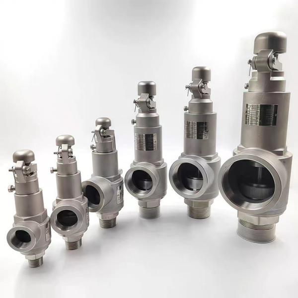 Quality SONGO Stainless steel 304 thread type full opening safety valve for steam boiler pressure relief valve 200degree for sale