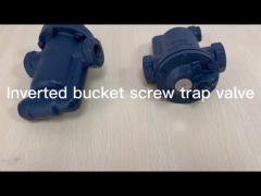 Steam Trap