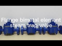 Steam Trap