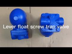 Steam Trap