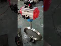 Pneumatic Actuator valve