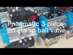 Pneumatic Actuator valve