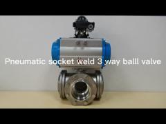Pneumatic Actuator valve