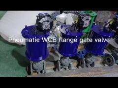 Pneumatic flange carbon steel gate valve