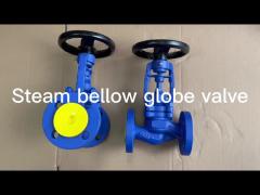 Bellows Seat Steam Globe Valve Flange 16bar 25bar Din Standard