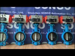 A Closer Look: Bray Type Wafer Pneumaitc Actuator Valve Spring Return EPDM Ductile Casting Iron