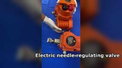 Electric needle regulating valve