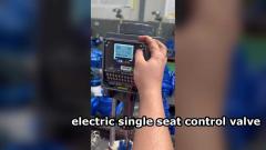 electric single seat control valve