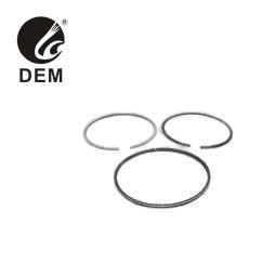 China For FIAT OD-FI67 8460.21 Bus 680 190TC24 175.24/190.26 Piston Rings Oil Rings for sale