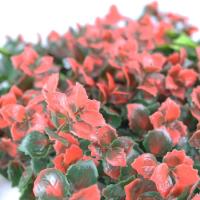 China Artificial Greenery Flower Wall Panel 42cm Diameter PE/PP Waterproof Decoration for sale