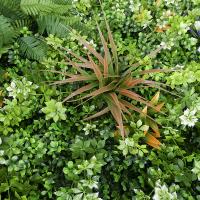China High Density PP Plastic Artificial Grass Wall Panel 50x50cm UV Resistant Privacy Hedge for sale