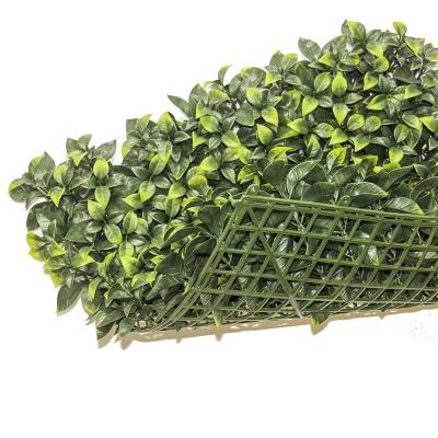China Het modelleren maken de Kunstmatige Grasmuren Voetbalgebieden 4cmx25cm waterdicht Te koop