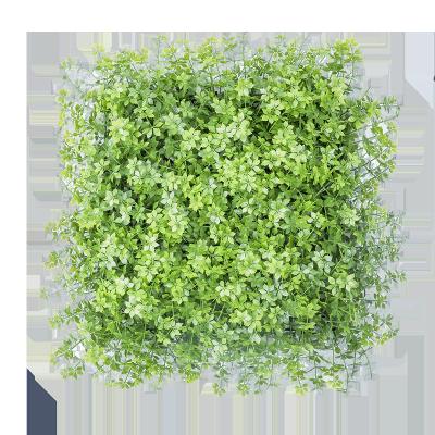 Cina Parete artificiale 50*50cm di Bush delle piante di plastica del PE per decorativo domestico in vendita