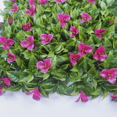 China Binnenplaats Kunstmatige Groene Muren, de Anti UVmuur van het Bukshoutgroen Te koop