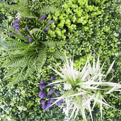 China Binnenplaats Kunstmatige Groene Muren, de Anti UVmuur van het Bukshoutgroen Te koop