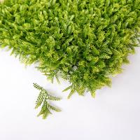 China Artificial Grass Wall 4x25m PE PP Green Decorative Foliage for Garden Landscaping for sale
