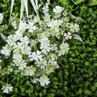 China UV Protected Artificial Greenery Hedge Wall Panel 50x50cm for Decoration for sale