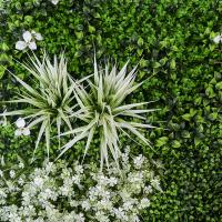 China UV Protected Artificial Greenery Hedge Wall Panel 50x50cm for Decoration for sale