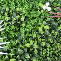 China UV Protected Artificial Greenery Hedge Wall Panel 50x50cm for Decoration for sale
