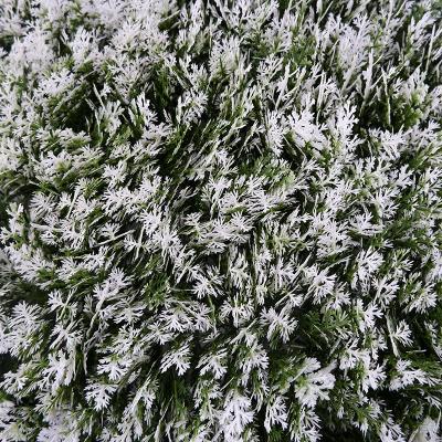 Cina Parete verde artificiale dell'anti pianta UV per la decorazione dell'interno ed all'aperto in vendita