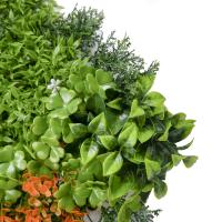 China UV Resistant Artificial Grass Wall Panels 50x50cm Eco Friendly Decorative Greenery for sale