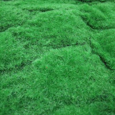Cina Parete artificiale dell'erba verde di falsificazione del paesaggio di Moss Mat 100*100cm del panno dell'interno in vendita