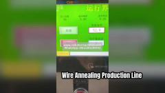 High-Efficiency Automatic Wire Annealing and Heat Treatment Production Line | Industrial Metal Solut