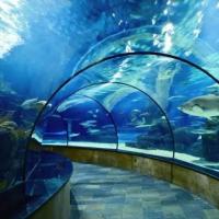 Quality Safe Window Curved Glass ODM OEM Tempered Glass Transparent Toughened Glass 3mm for sale