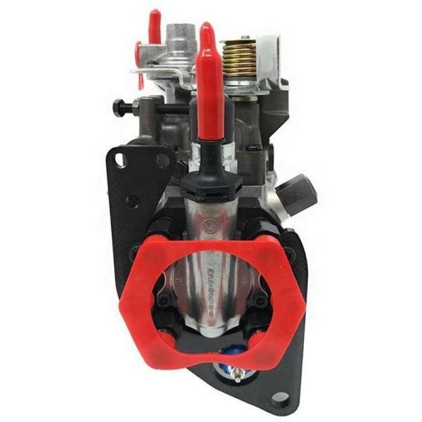 Quality 9520A424G Fuel Pump and 2644C311 Fuel Injection Pump for Perkins Engines Ideal for sale