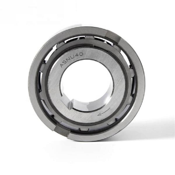 Quality Bearing Steel ASNU200 NFS200 TFS200 Roller Type One-Way Cam Clutch for Speed Rotation for sale