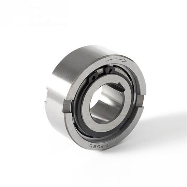 Quality Bearing Steel ASNU200 NFS200 TFS200 Roller Type One-Way Cam Clutch for Speed for sale