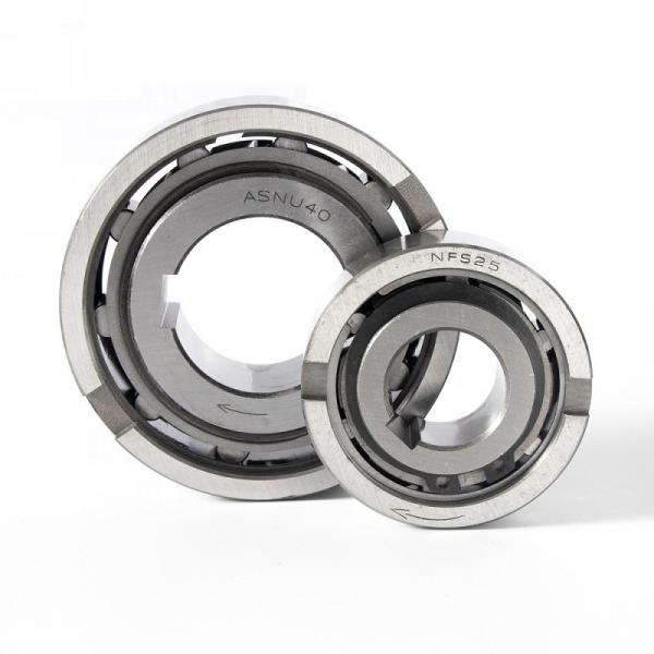 Quality Bearing Steel ASNU200 NFS200 TFS200 Roller Type One-Way Cam Clutch for Speed for sale