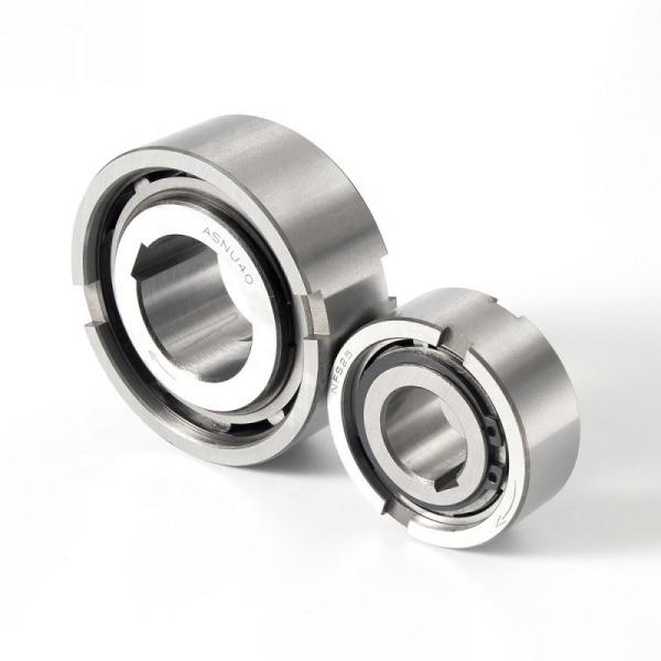 Quality Bearing Steel ASNU200 NFS200 TFS200 Roller Type One-Way Cam Clutch for Speed for sale