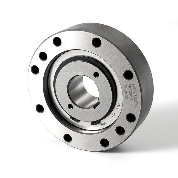Quality Purpose Replace/Repair FXM One-Way Clutch Backstop and Brake for FLENDER for sale