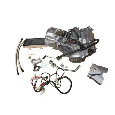 Cina Montaggio del motore di moto Zongshen W190CC con cilindro non asbestoso e raffreddatore di olio in vendita