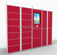 China Packstation Parcel Locker Temporary Use For Pool Changing Room for sale
